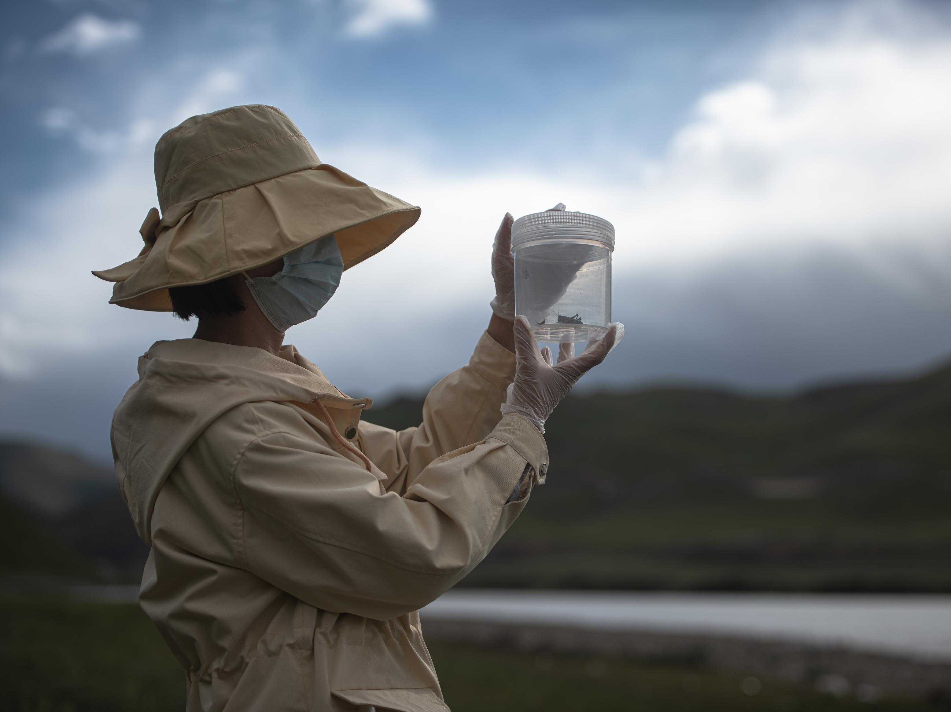 "Insect catchers" at China's scientific expedition in Yangtze headwaters
