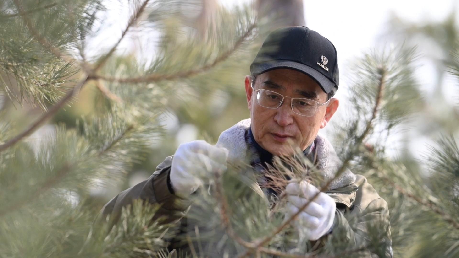 Faces of China: "Tree doctor" guards forest for over 40 years